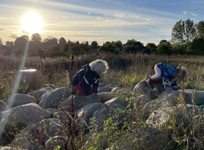 Oplev solformørkelsen over Danmark onsdag d. 12. august på Skenkelsø Mølle